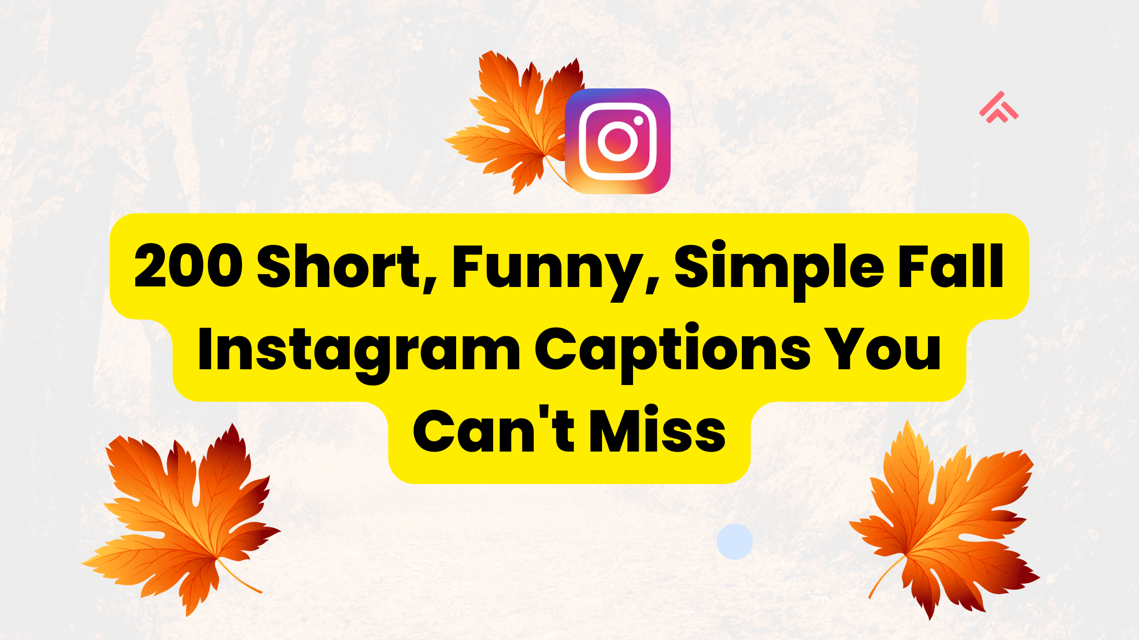 200 Short, funny , cool Fall Instagram Captions You Can't Miss - HitUrl